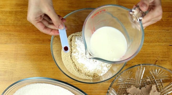 CHESTNUT PUNCH COCONUT BALLS - Easy Dessert Recipe